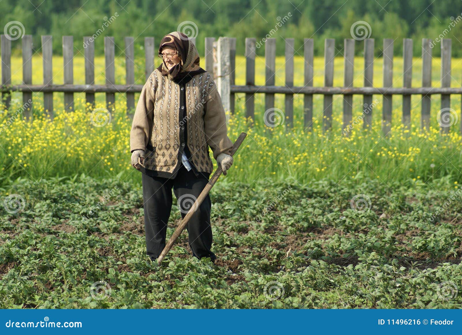 Hand labour stock photo. Image of development, grandfather - 11496216