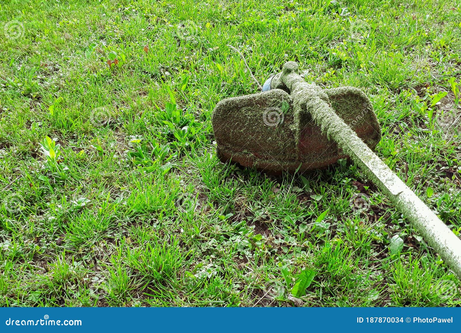 Hand lawn mower on grass stock photo. Image of backyard - 187870034