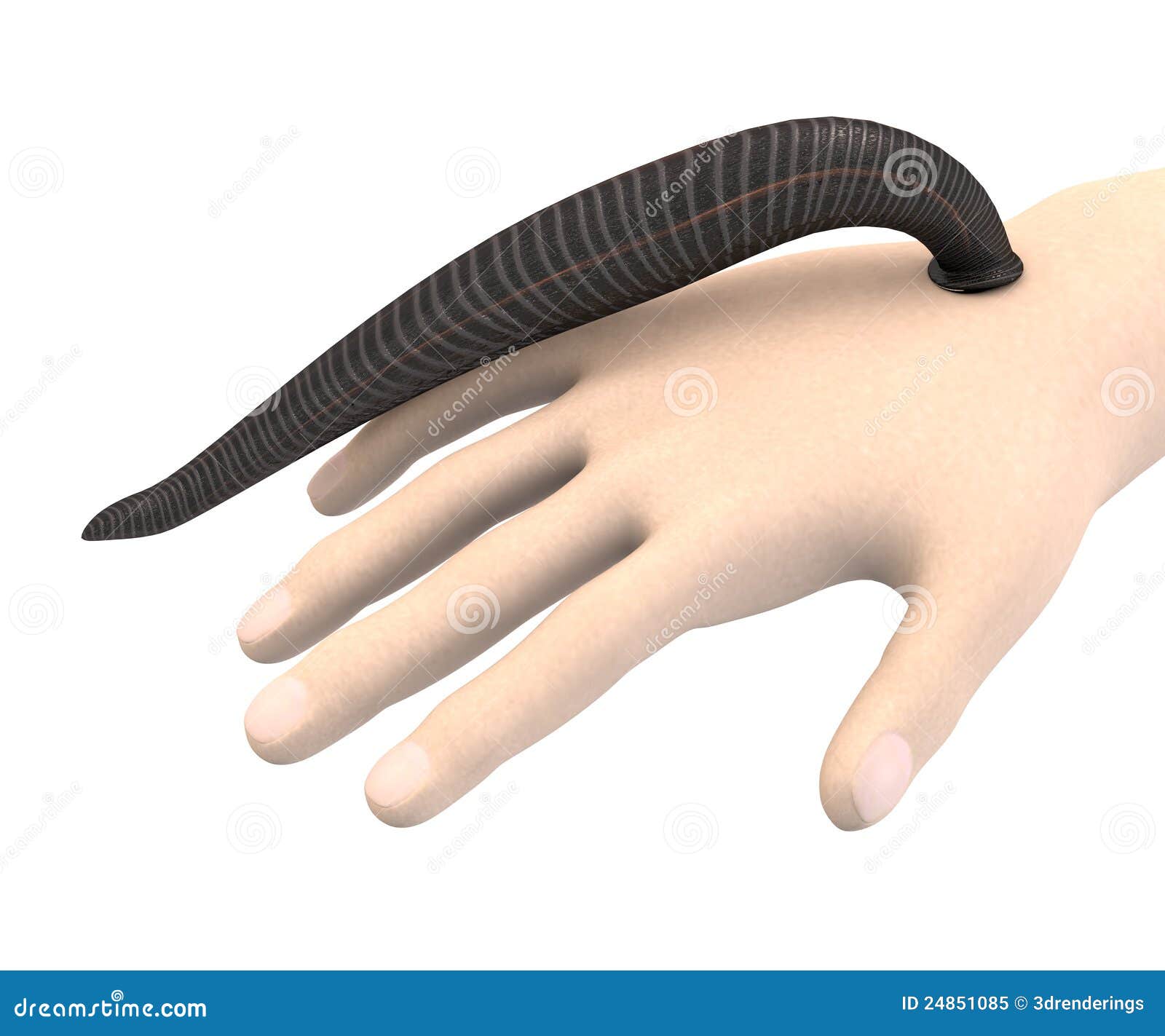 Hand with leech stock illustration. Illustration of hand - 24851085