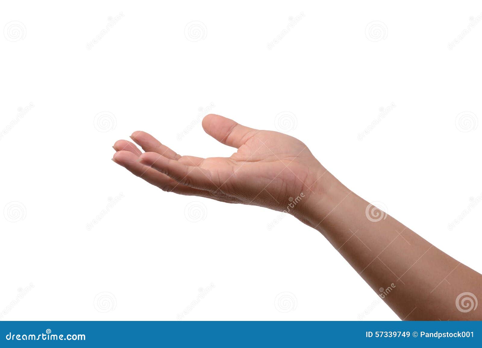 Hand lift up something. stock image. Image of hold, human - 57339749