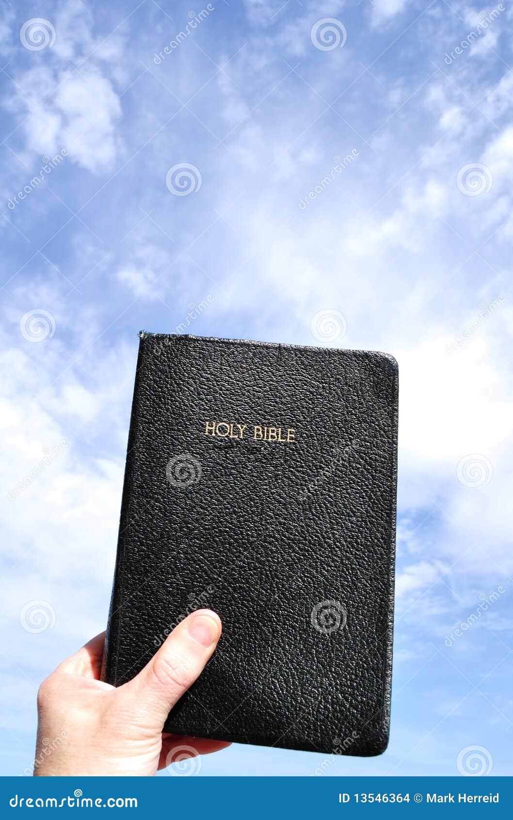 Hand Lifting Holy Bible To the Sky Stock Photo - Image of hold, faith ...