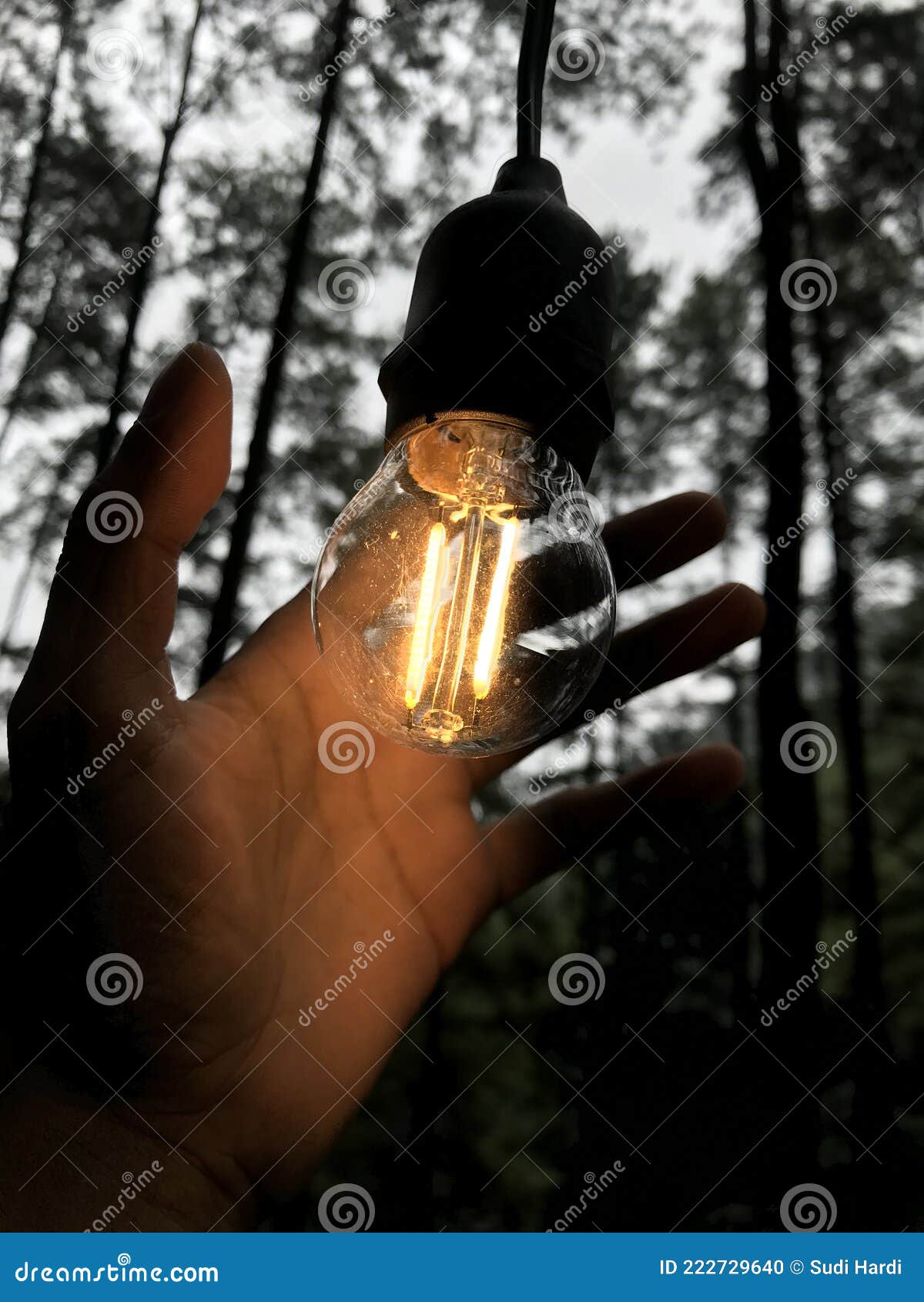 Hand with the light stock photo. Image of jungle, light - 222729640