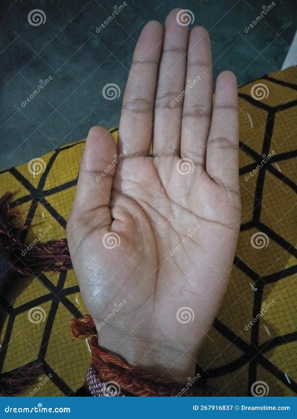 Hand lines my life stock image. Image of ghhsh, jivan - 267916837