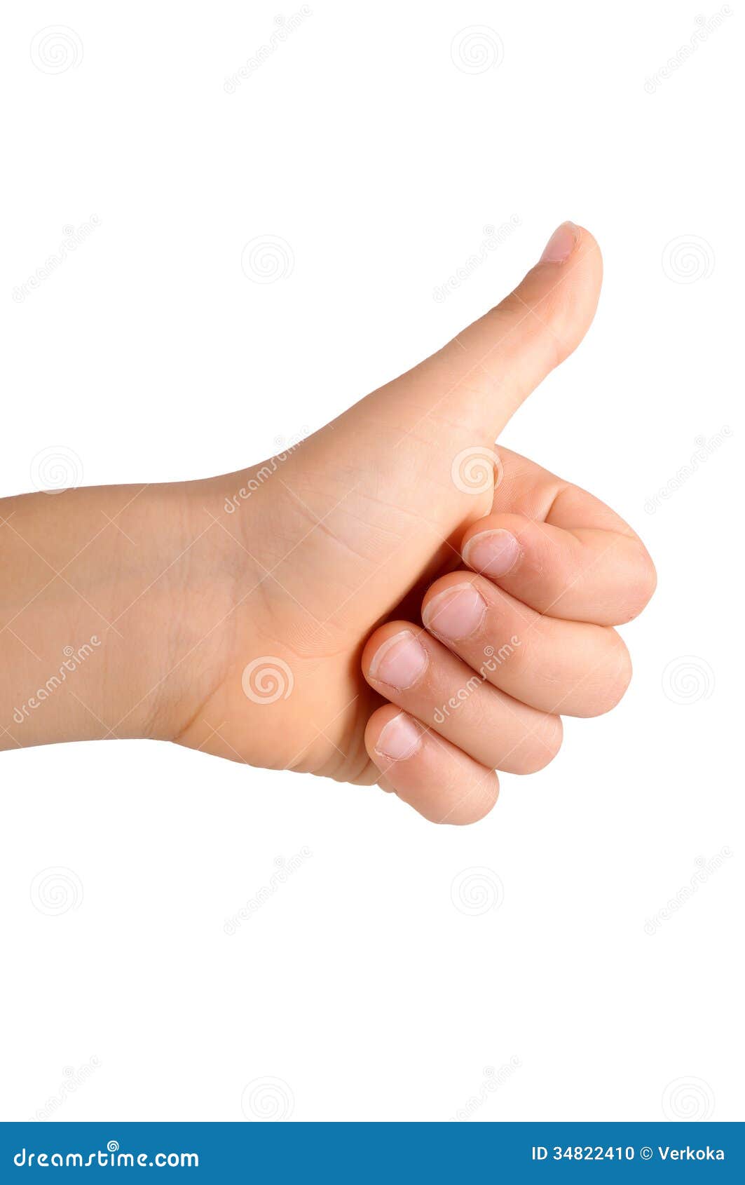 Hand stock photo. Image of portrait, female, casual, human - 34822410