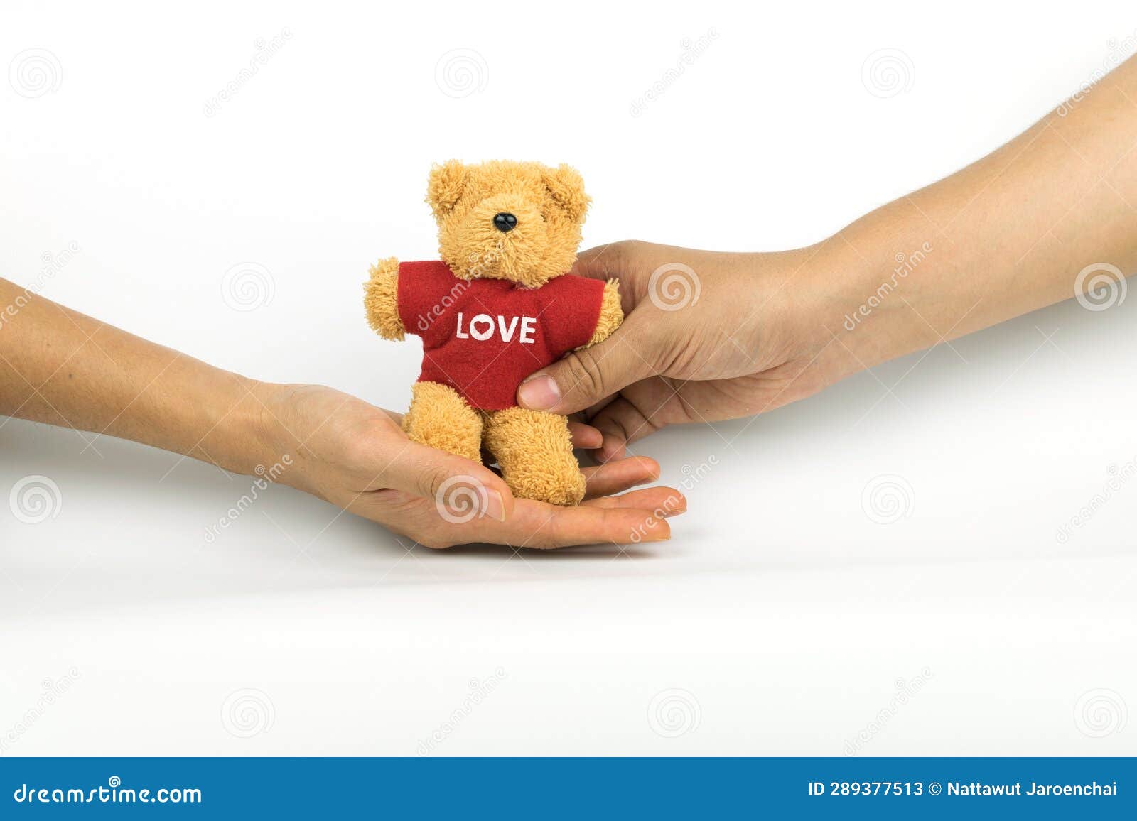 Hand and a Little Teddy Bear Stock Image - Image of female, holding ...