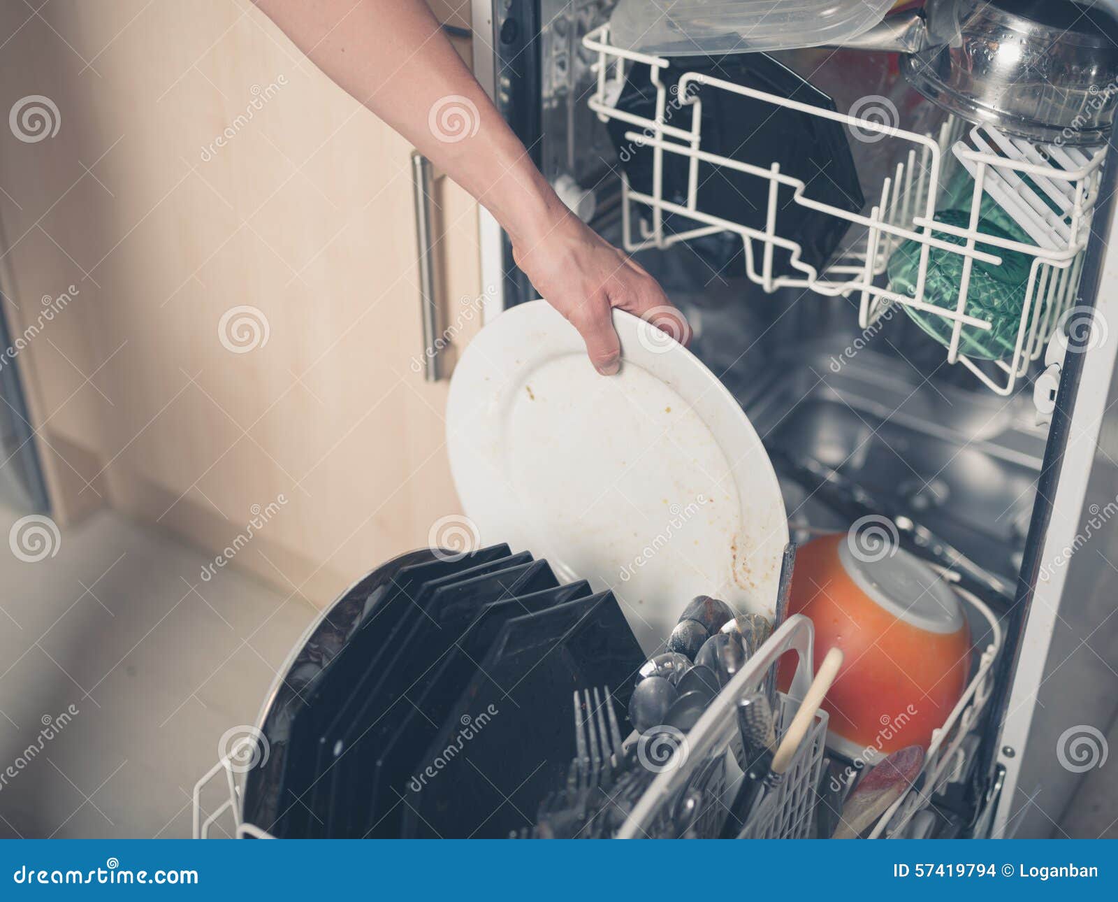 Hand loading dish washer stock photo. Image of female - 57419794