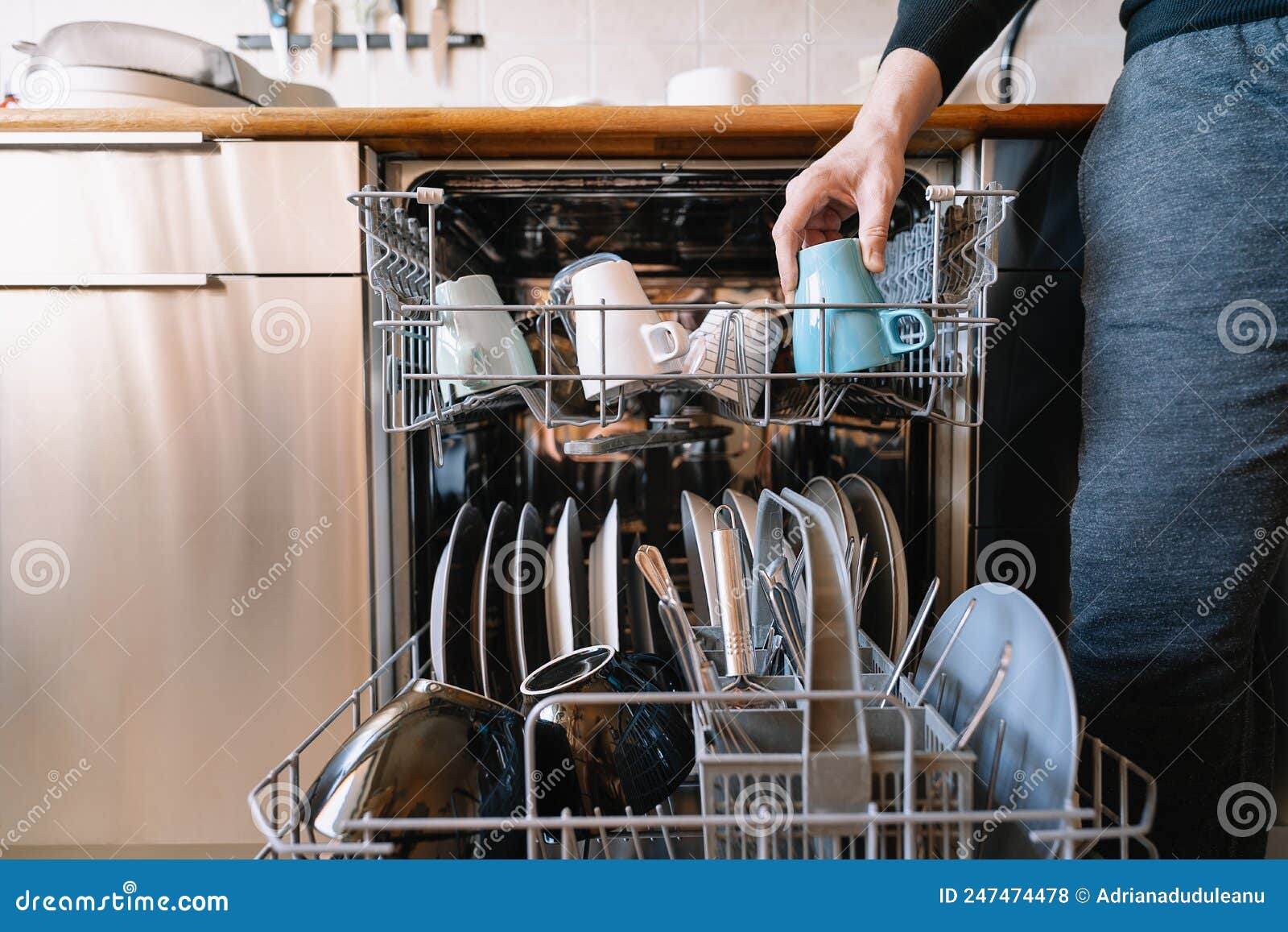 Person loading dishwasher stock photo. Image of machine - 247474478