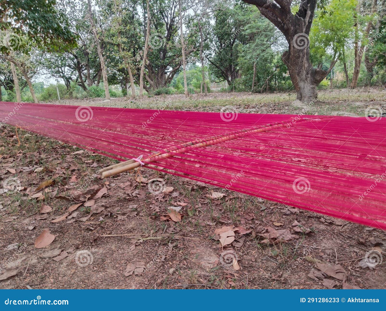 Hand Loom Silk Threads Spread Stock Image - Image of loom, industrial ...