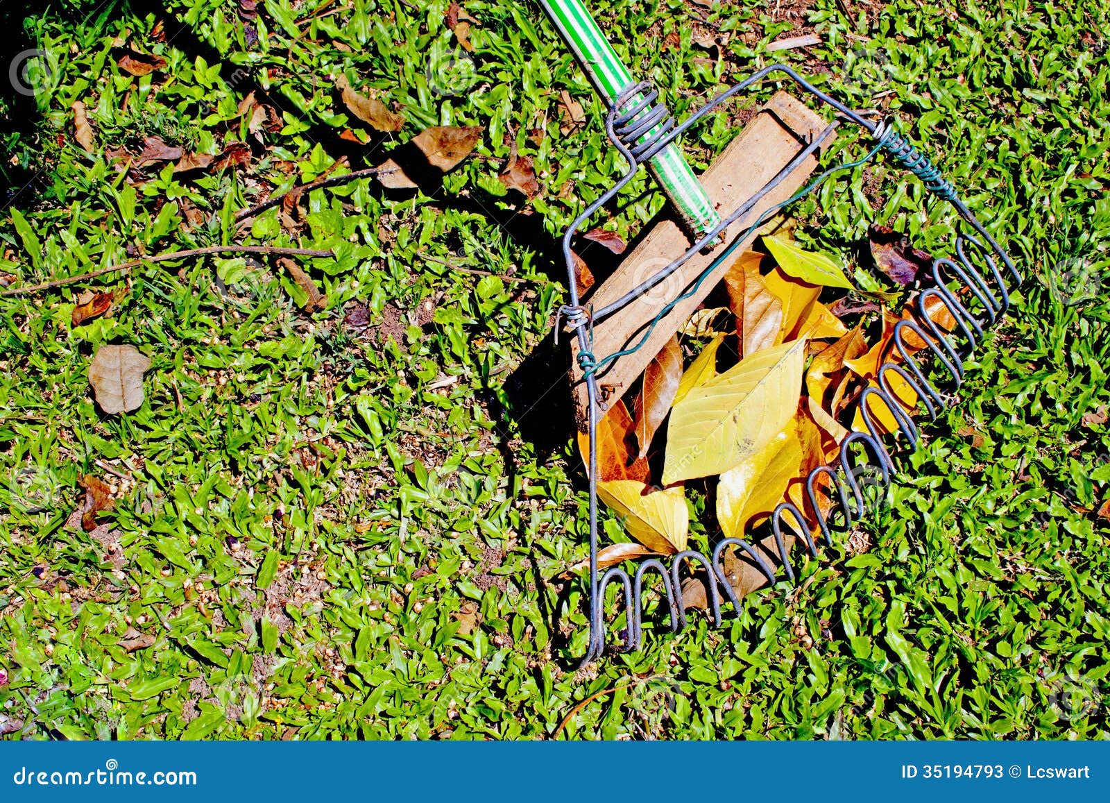 Hand Made African Leaf Rake and Leaves on Grass Stock Image - Image of ...