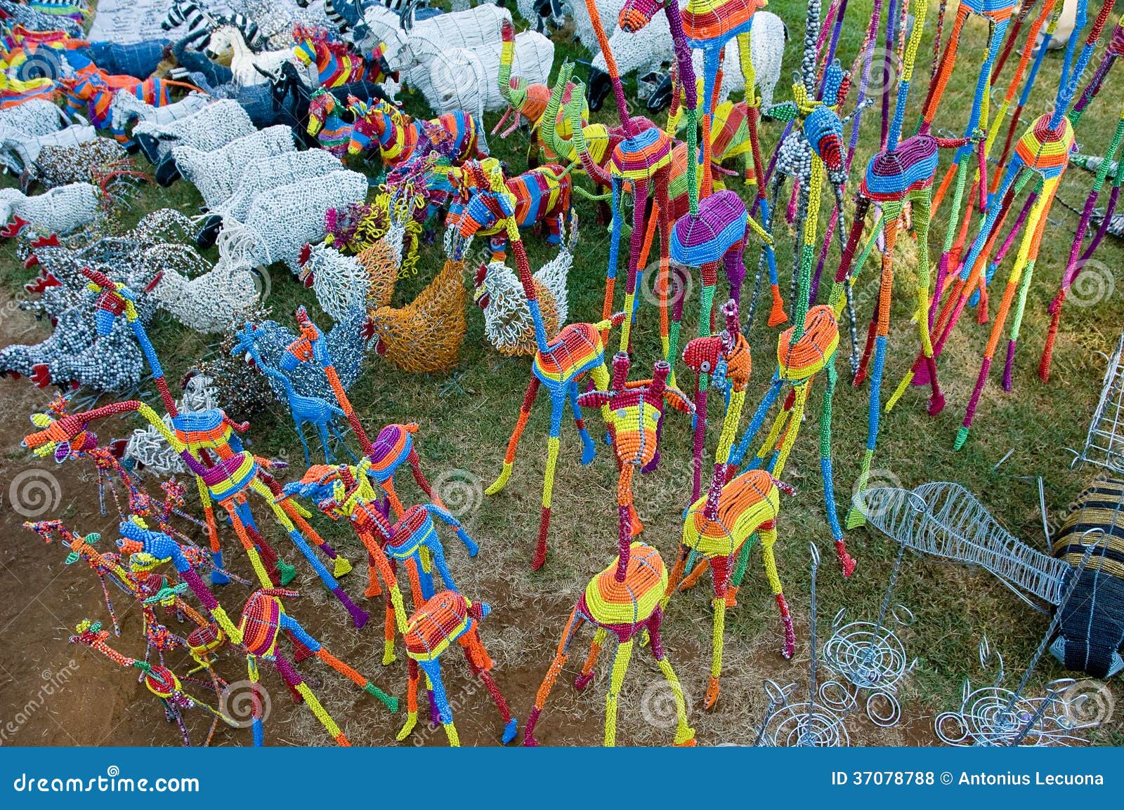 God Made Animals, 6 Day Of Creation.Bible, Genesis, Old Testament ...