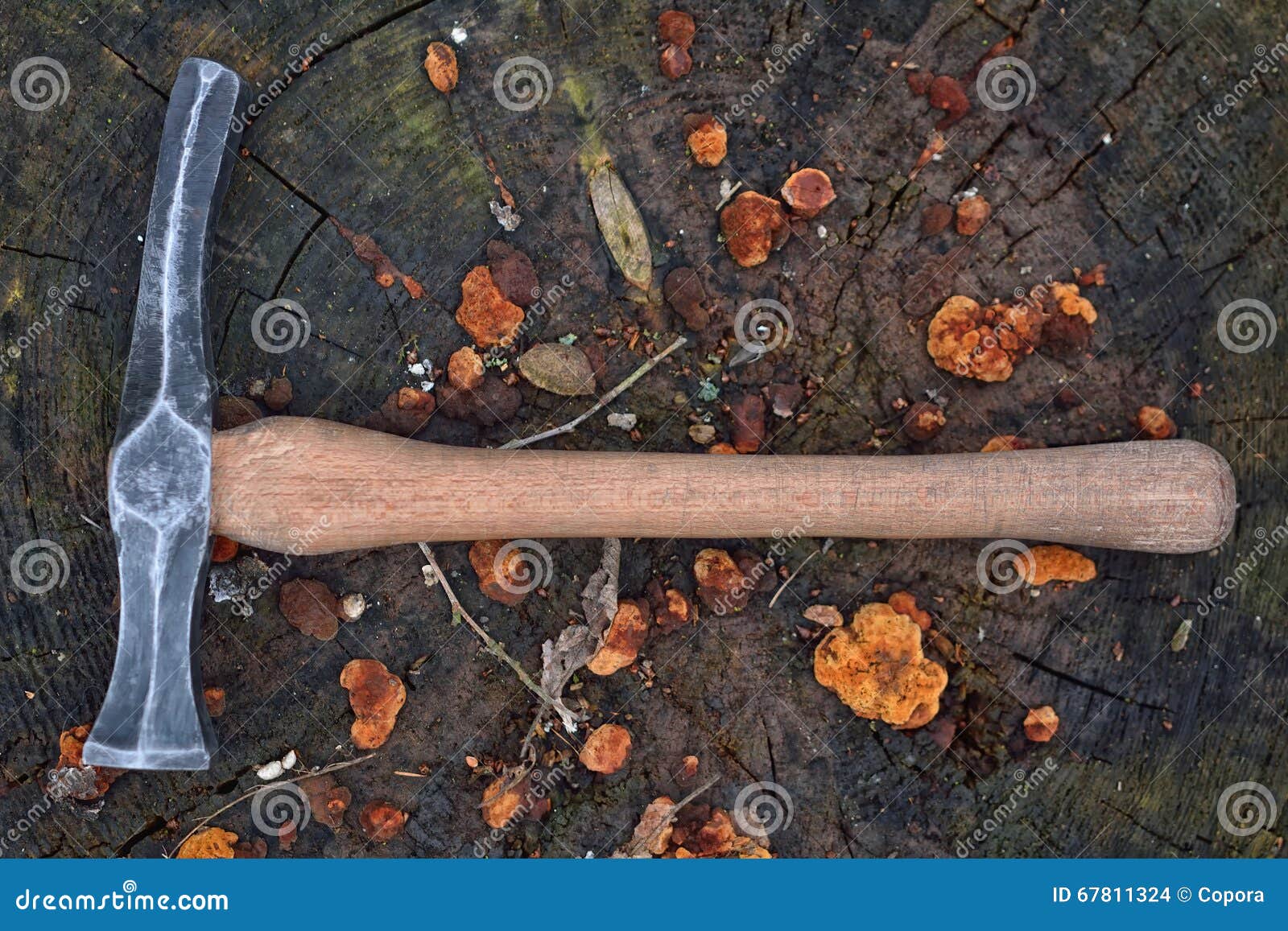Hand Made Blacksmith Hammer Resting on an Stump Stock Photo - Image of ...