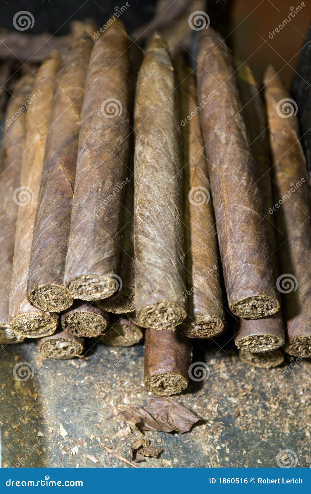 Hand made cigars stock photo. Image of panama, group, mexico - 1860516
