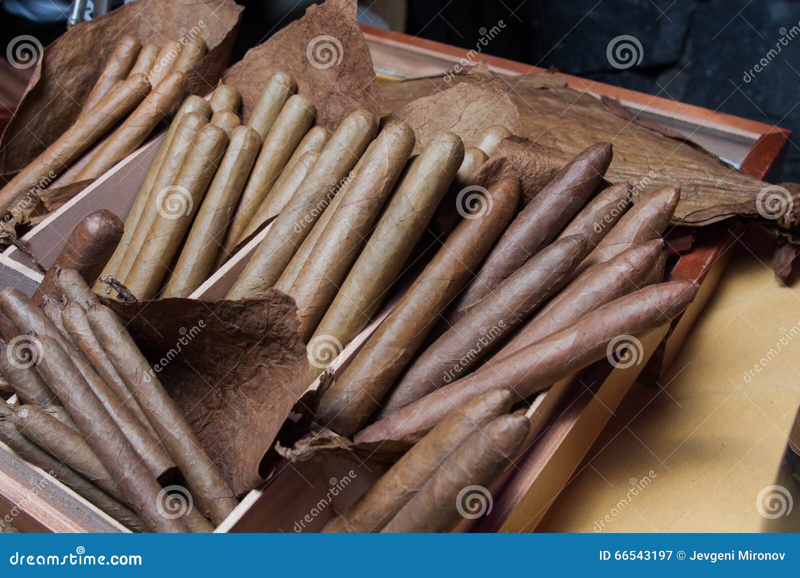 Hand made cigars parejos stock image. Image of hecho - 66543197