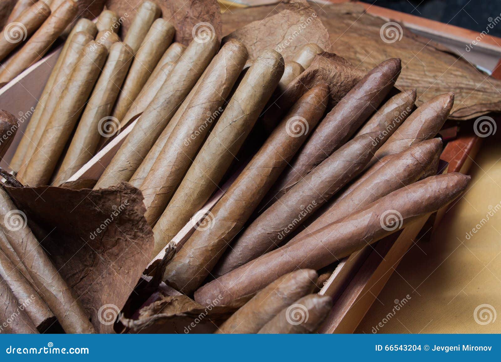 Hand made cigars parejos stock photo. Image of household - 66543204