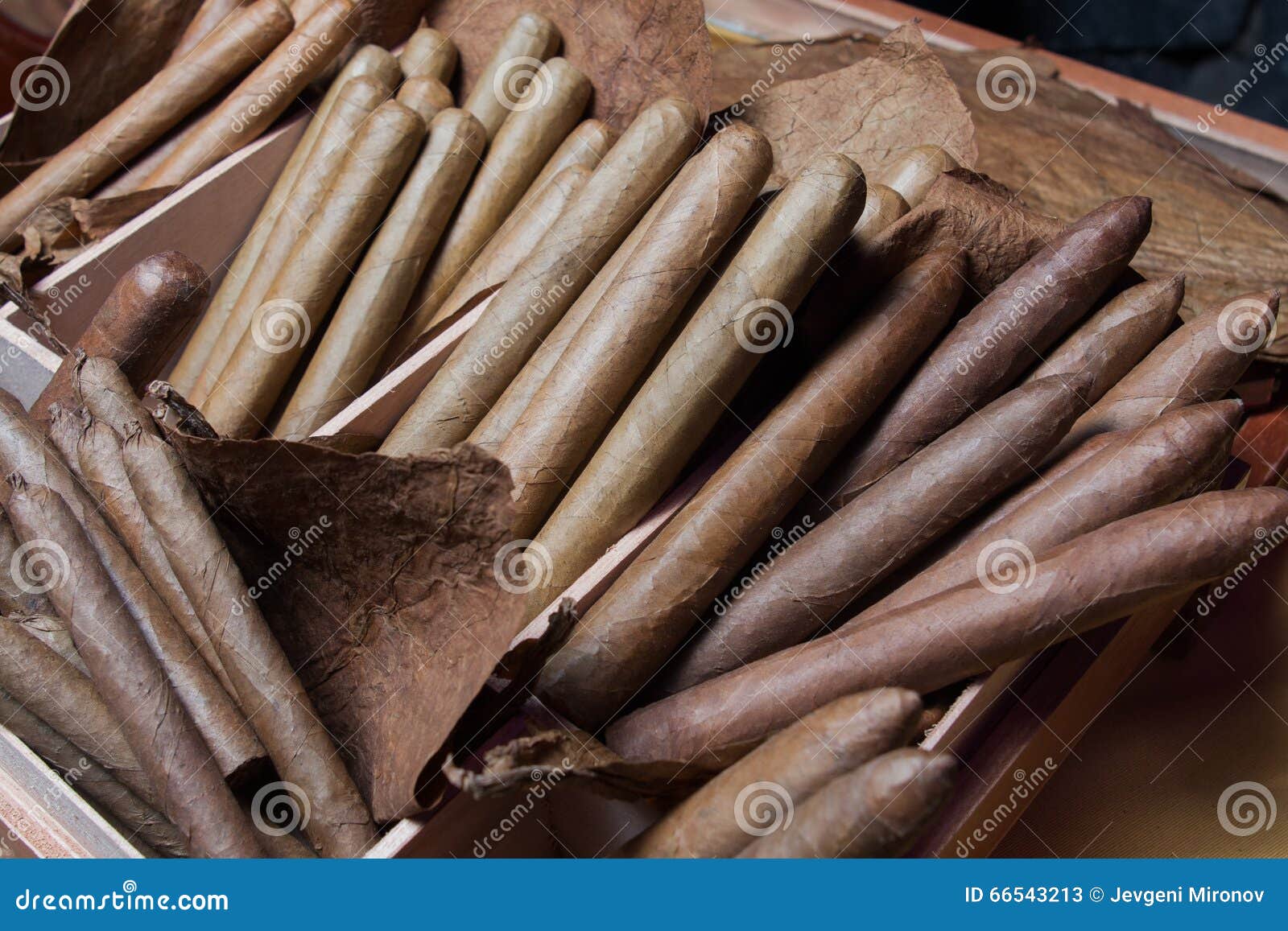 Hand made cigars parejos stock image. Image of industry - 66543213