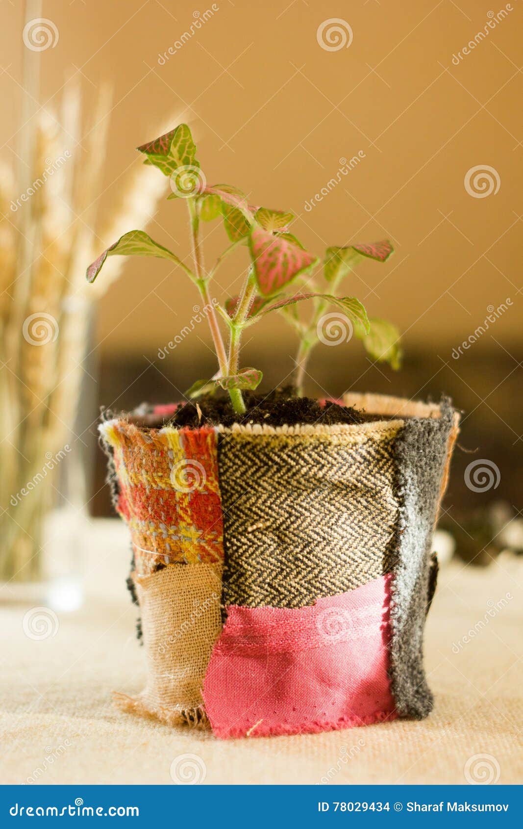 Hand Made Fabric Flower Pot Stock Photo - Image of garden, plank: 78029434