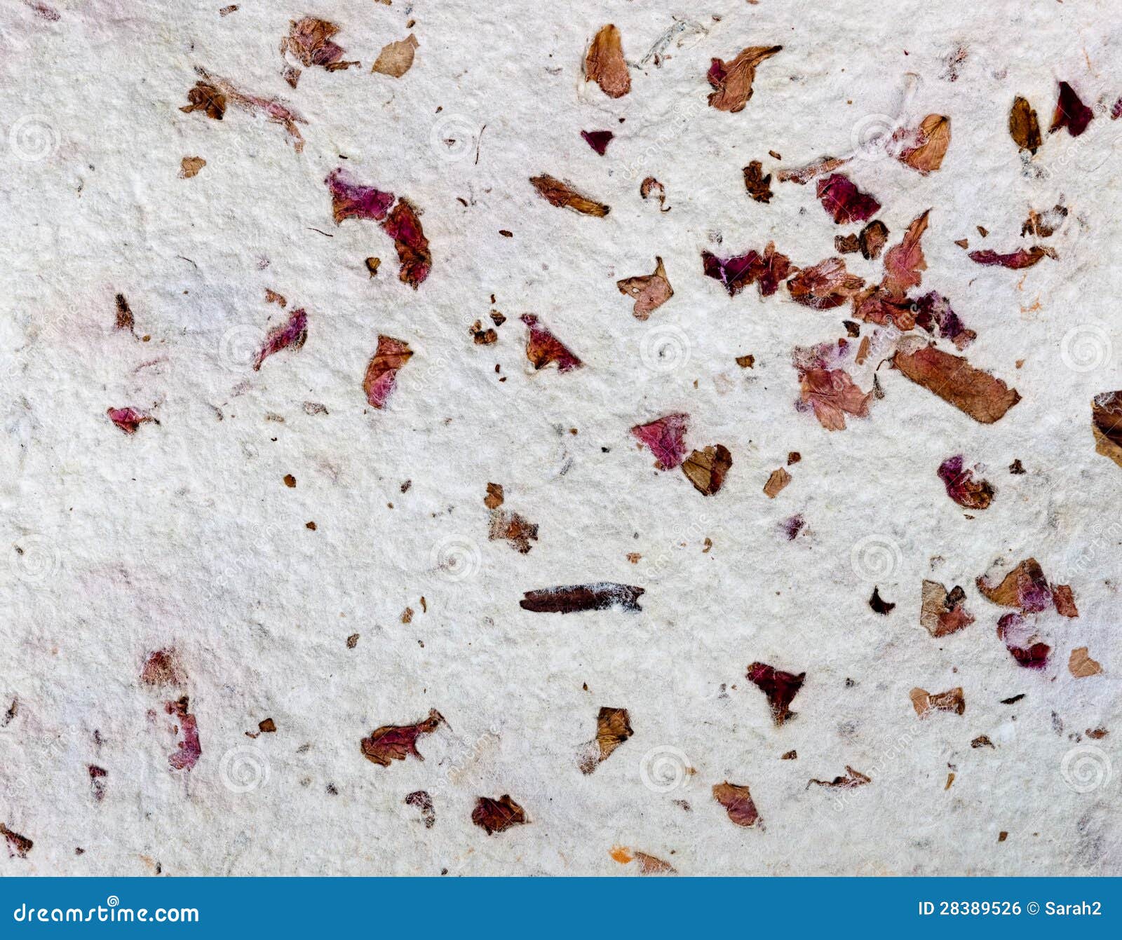 Hand Made Paper with Rose Petals Macro Stock Photo - Image of closeup ...
