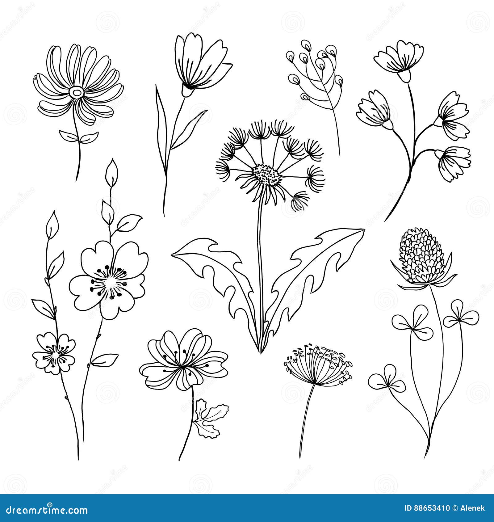 Hand Made Set of Field Flowers and Herbs Stock Vector - Illustration of ...