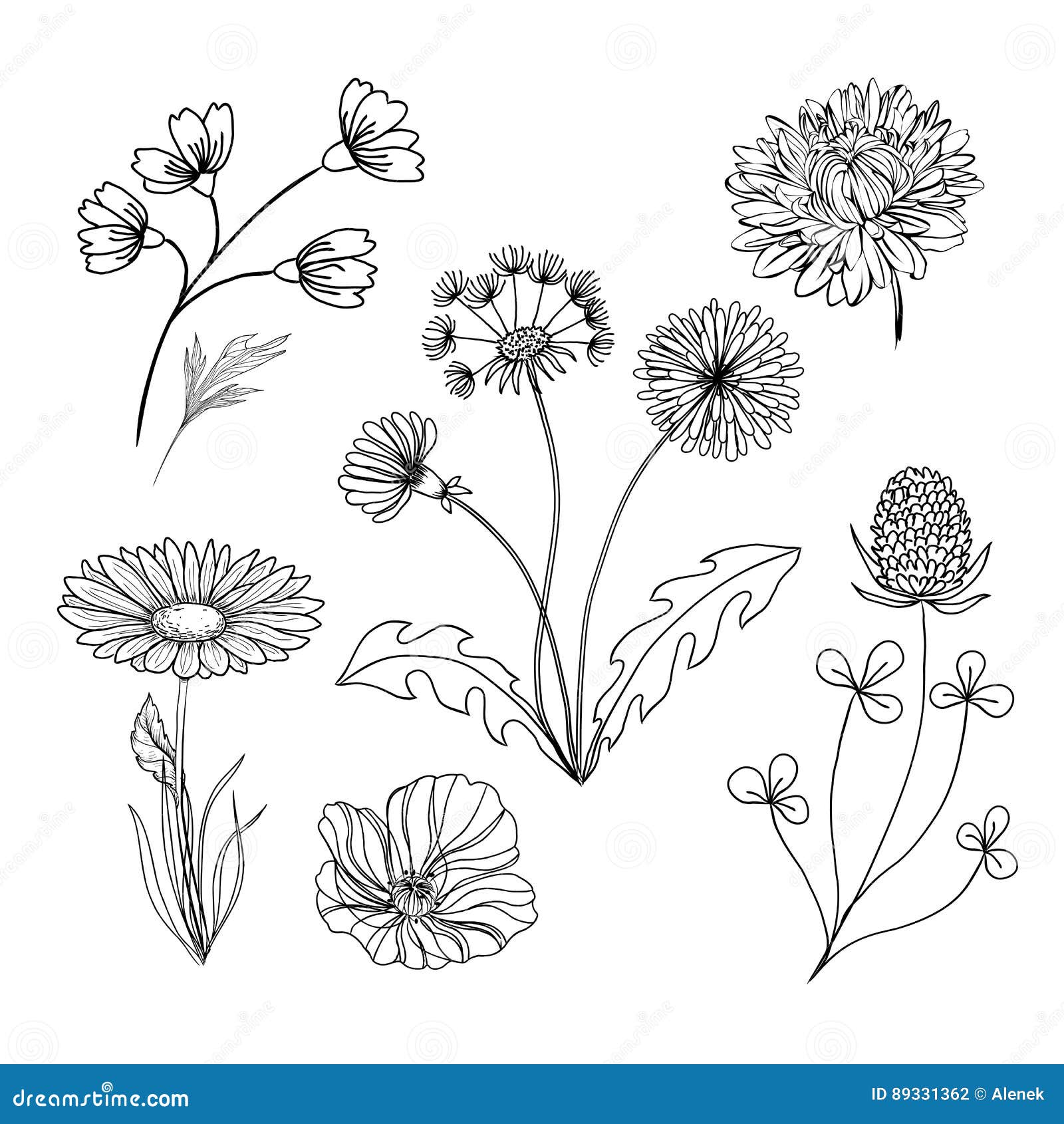 Hand Made Set of Flowers and Herbs Stock Vector - Illustration of decor ...