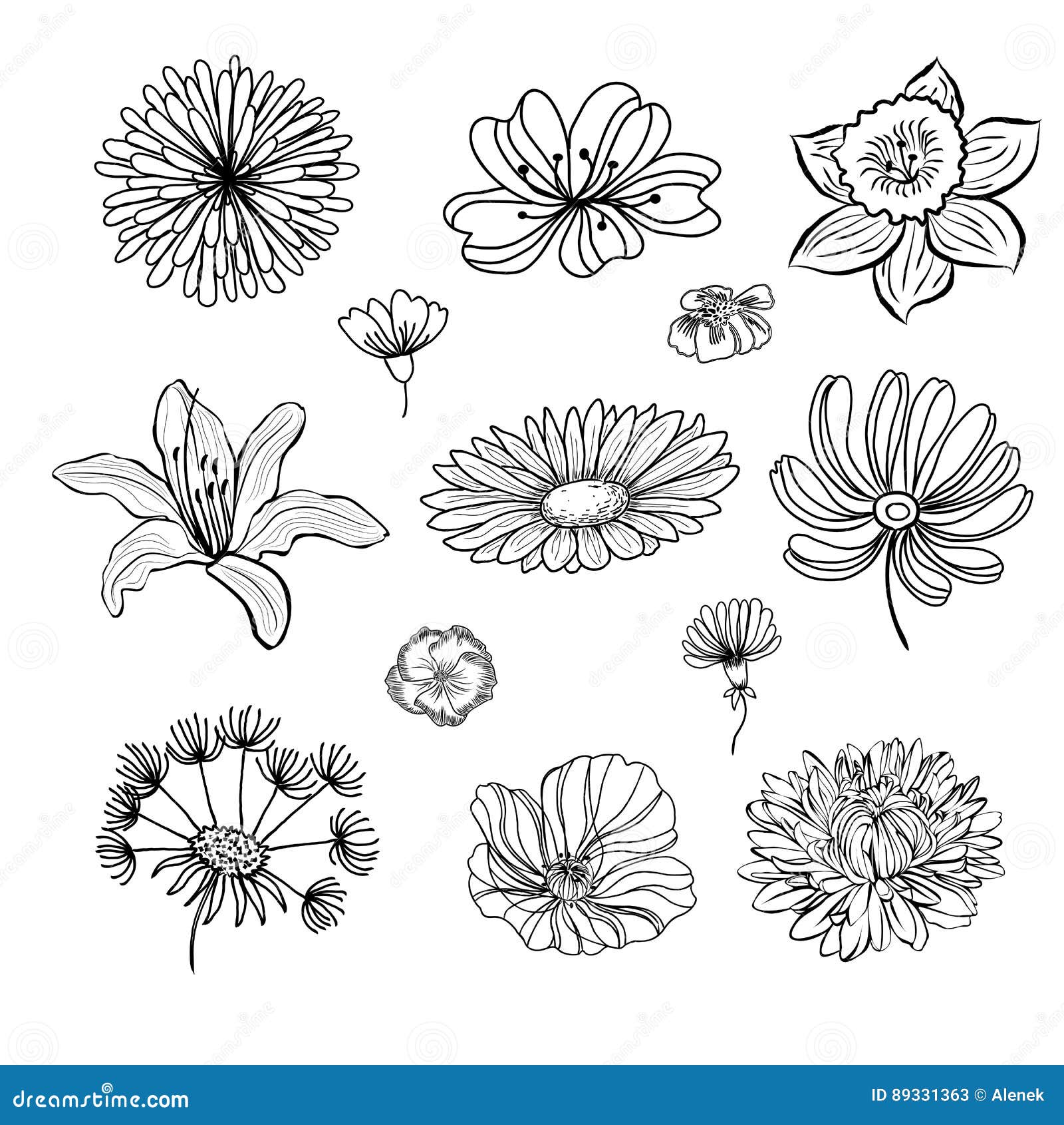 Hand Made Set of Flowers and Herbs Stock Vector - Illustration of ...