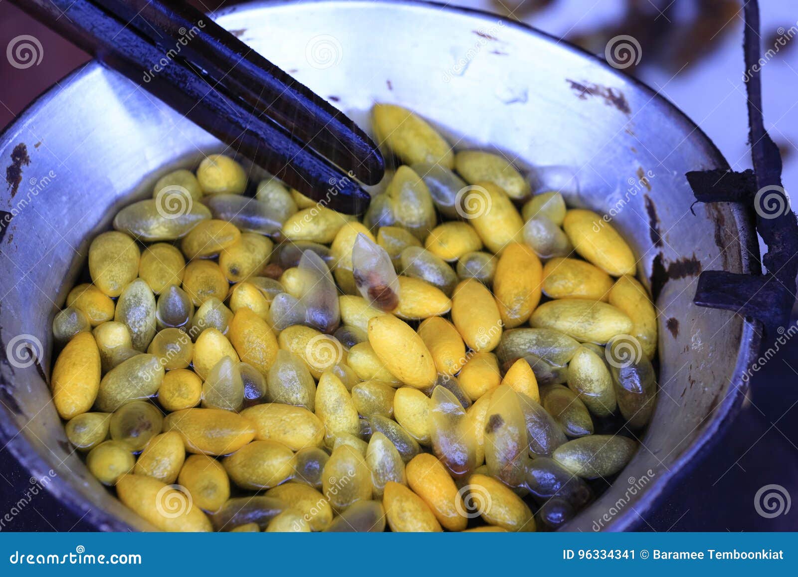 Hand Made Silk Process Boil Yellow Silkworm Cocoon in Hot Pot. S Stock ...