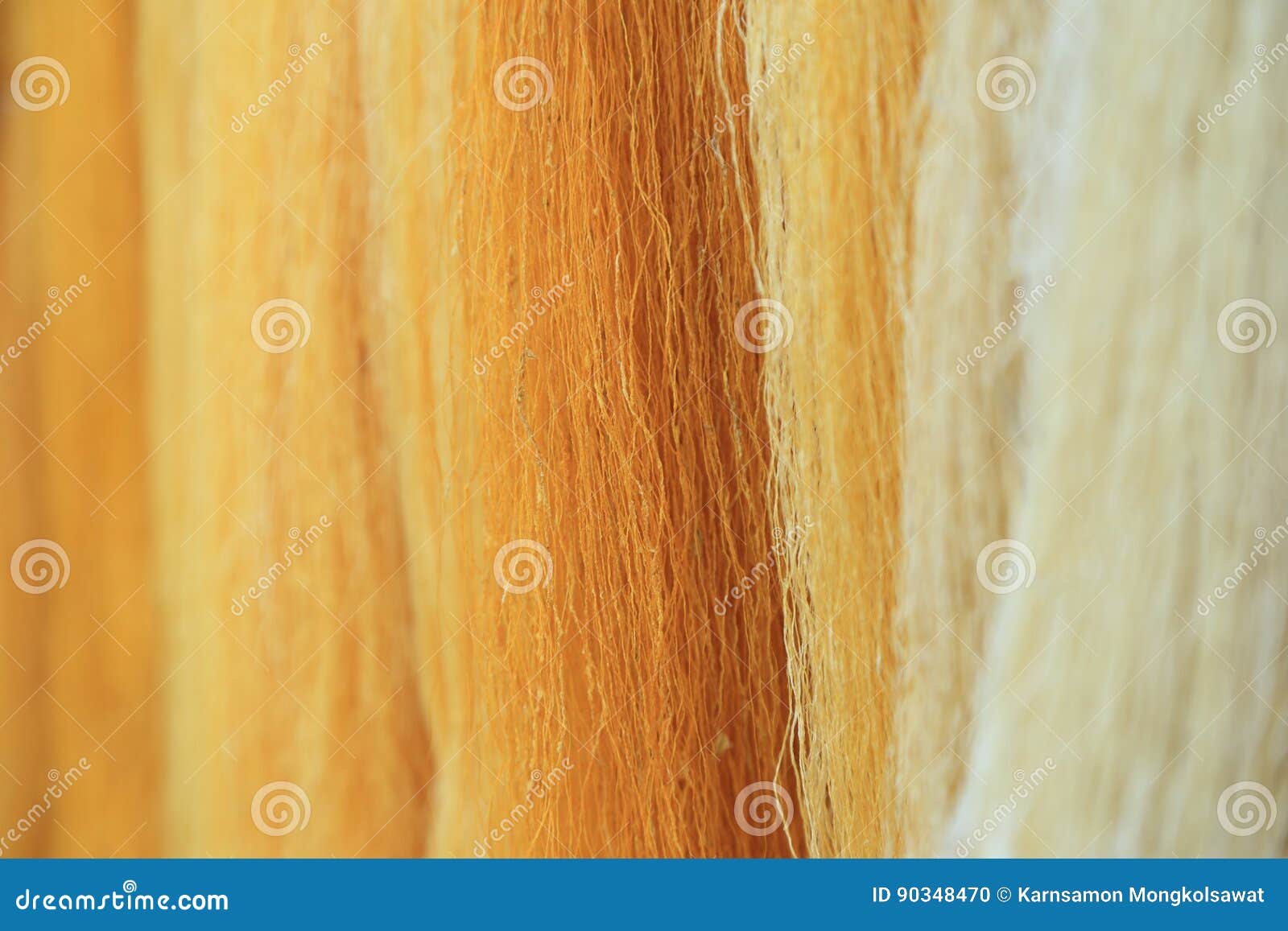 Hand Made of White and Yellow Raw Thread Silk from Silkworm Cocoons ...