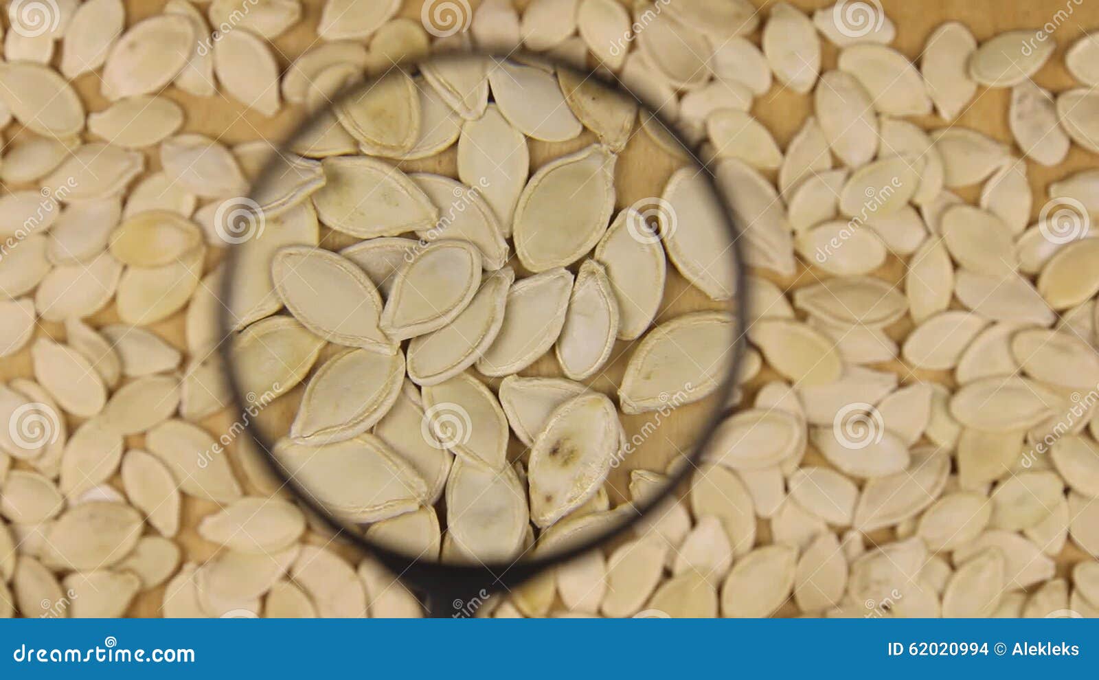 Hand with Magnifying Glass Increases Pumpkin Seeds Stock Footage ...