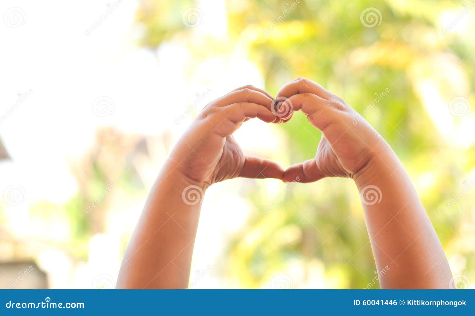 Hand make a heart. stock photo. Image of natural, gesture - 60041446