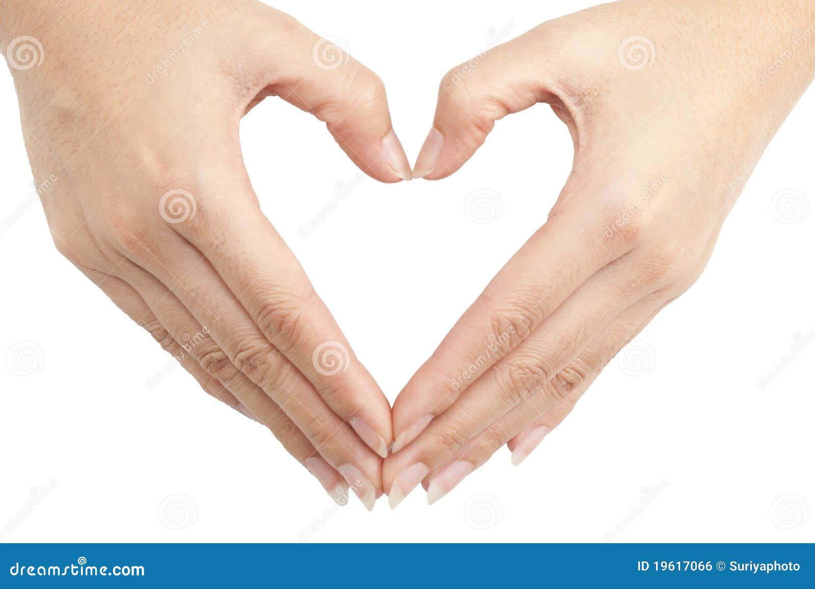 Hand make a heart shape stock photo. Image of hand, healthy - 19617066