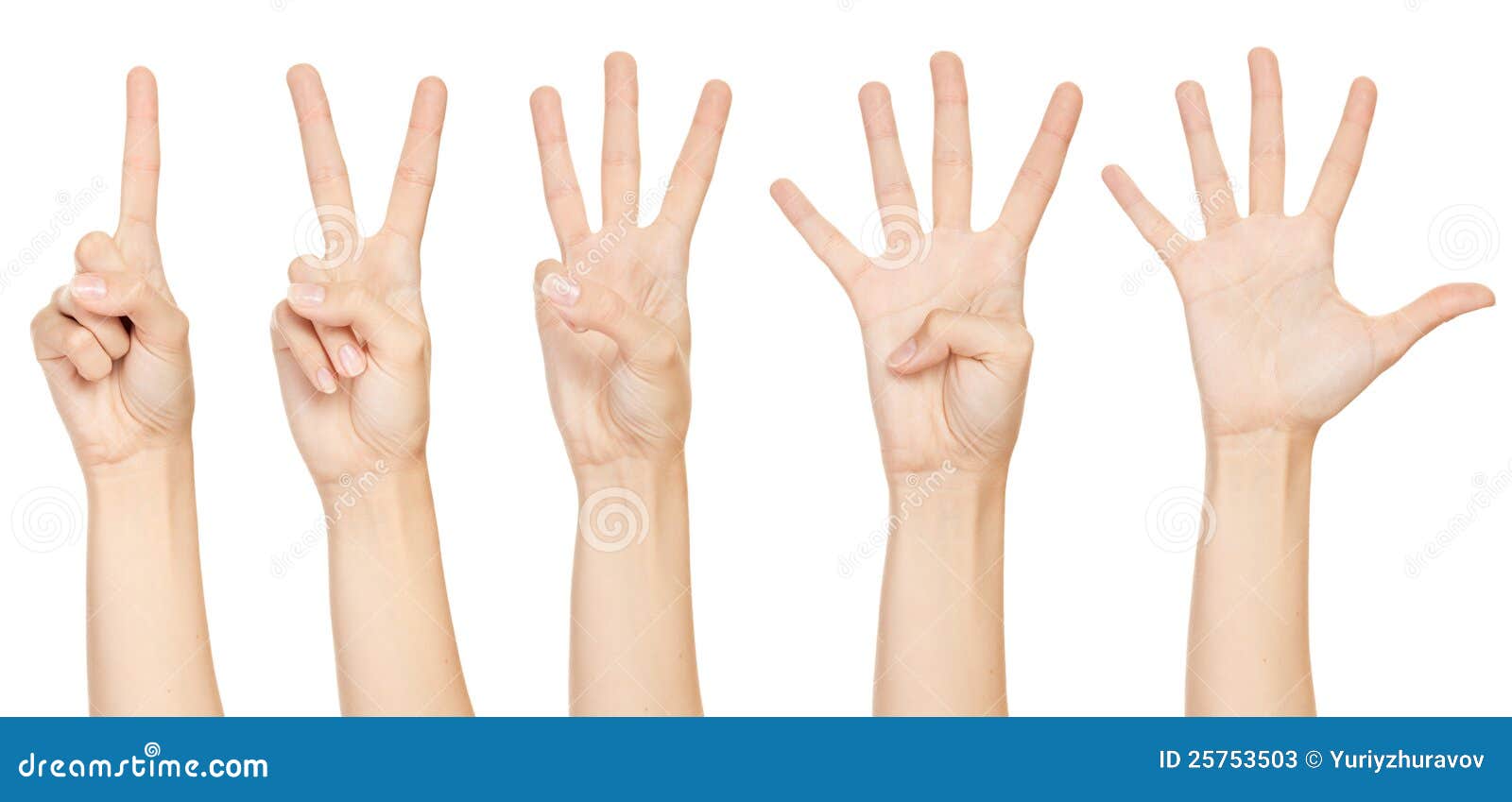 Hand Make Number Collection Stock Image - Image of five, female: 25753503