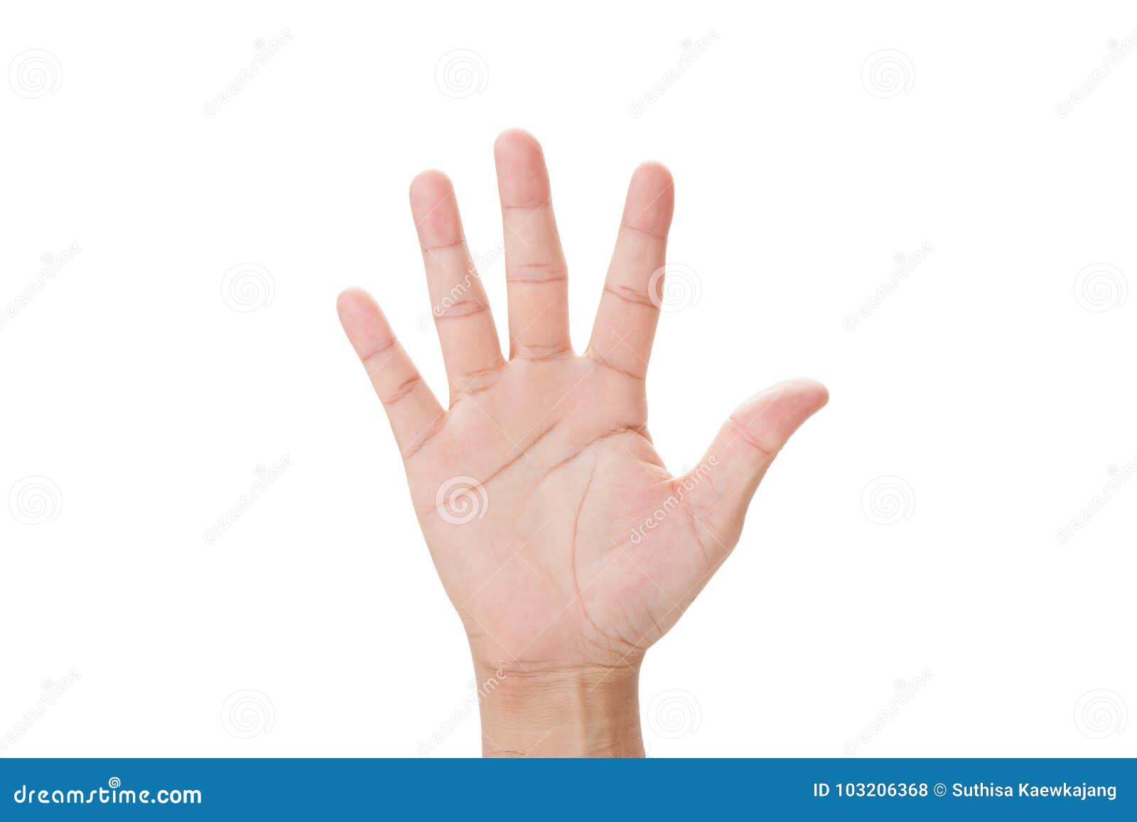 Hand Making Sign Isolated on White Stock Photo - Image of order ...