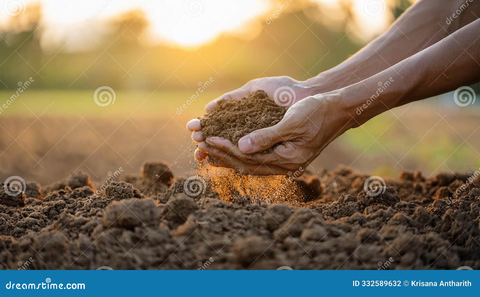 Hand of Male Holding Soil in the Hands for Planting Stock Photo - Image ...