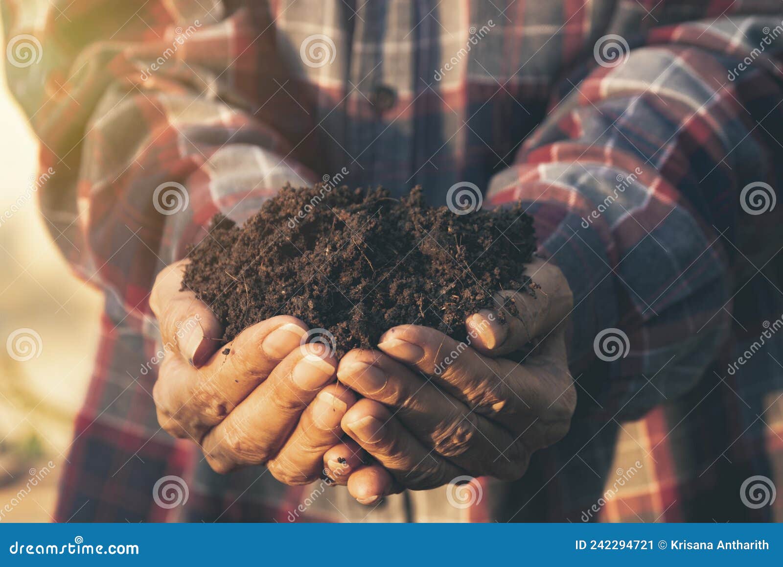Hand of Male Holding Soil in the Hands for Planting Stock Image - Image ...