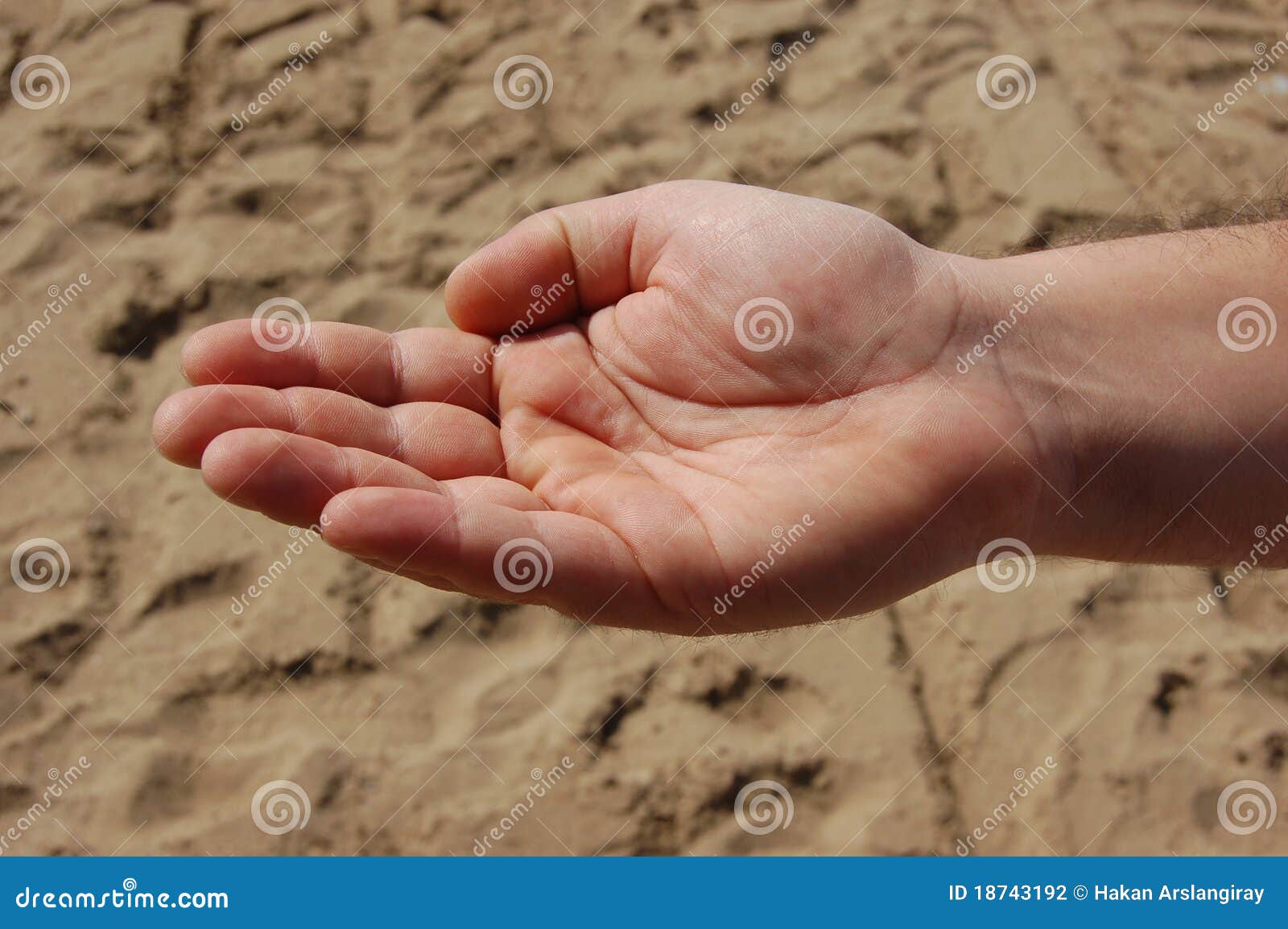 Hand of a man stock photo. Image of offer, hand, finger - 18743192
