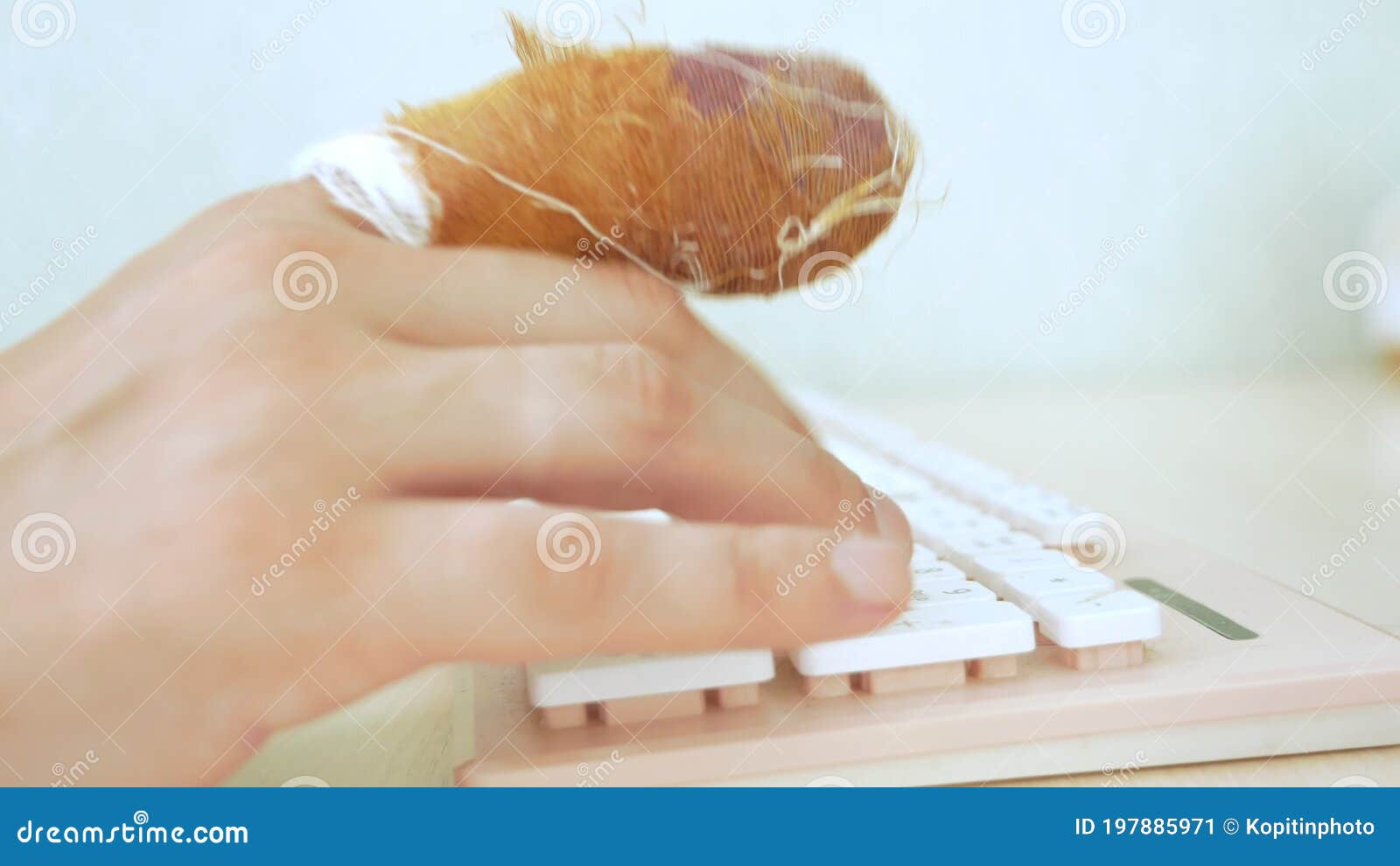 Hand of a Man with a Bandaged Finger Uses a Computer Mouse and Keyboard ...