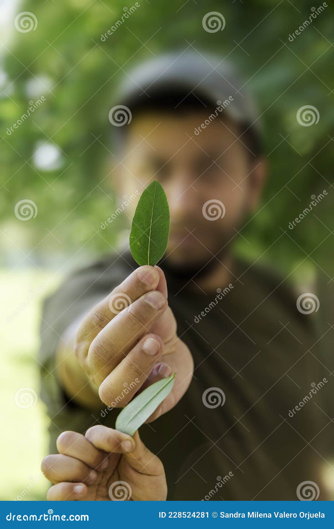 Hand of Man and Child Holding a Leaf Stock Image - Image of hold, leaf ...