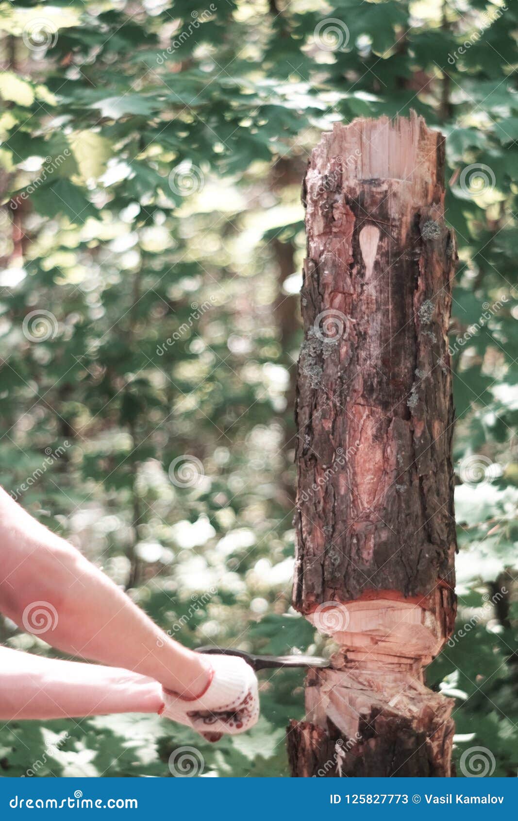 A Hand of a Man Hack a Tree with an Ax Against a Blurred Green ...