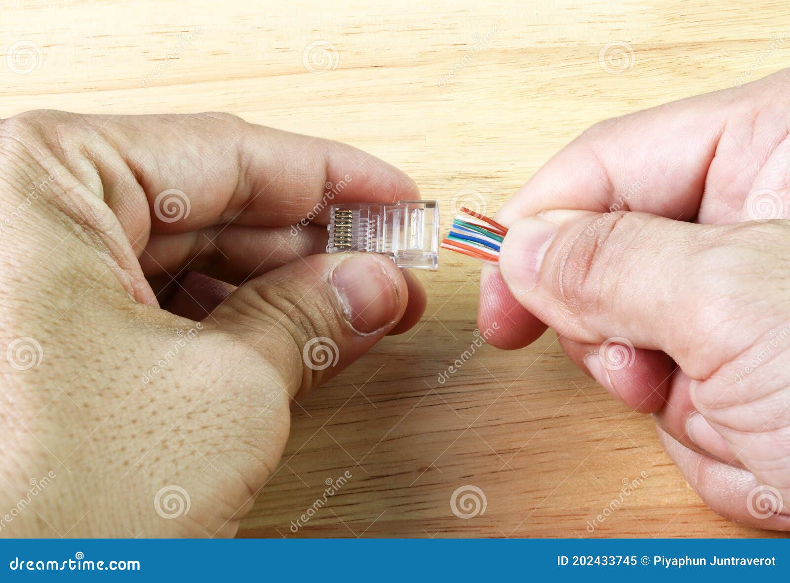 Hand of Man Hold RJ45 with Cable for Use Network Internet Cable ...