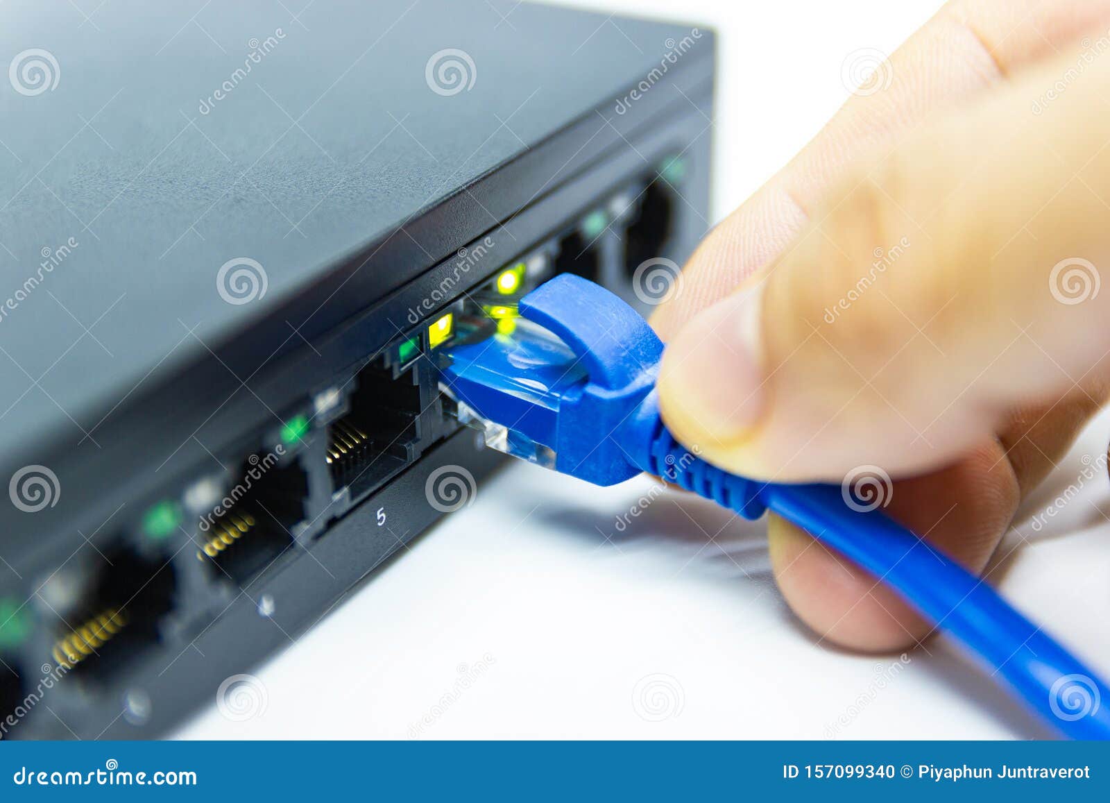 Hand of Man Holding the Blue Network Cables Connect Port Switch on ...