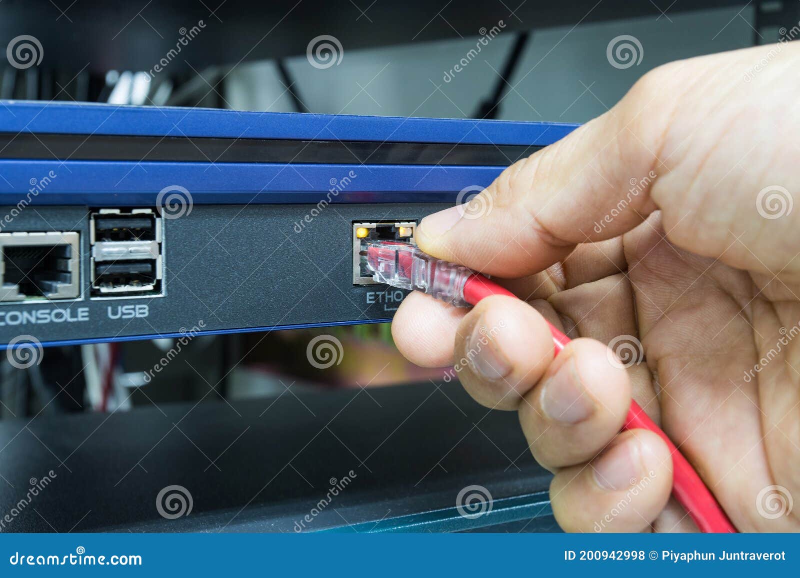 Hand of Man Holding the Network Cables To Connect Lan Port Stock Photo ...