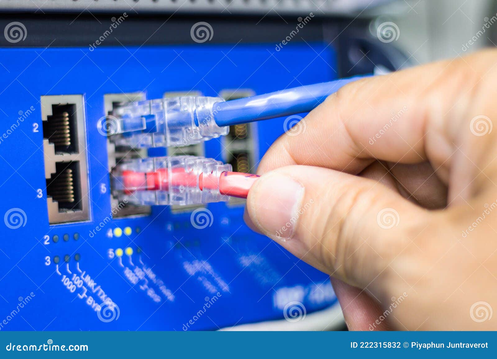 Hand of a Man Holding the Network Cables To Connect the Port of a ...