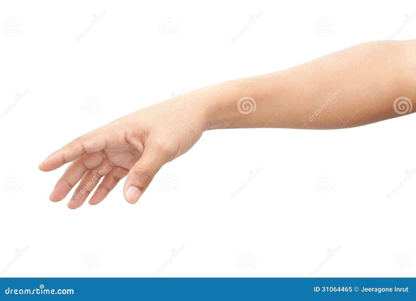 Hand of a man stock image. Image of hand, studio, handle - 31064465