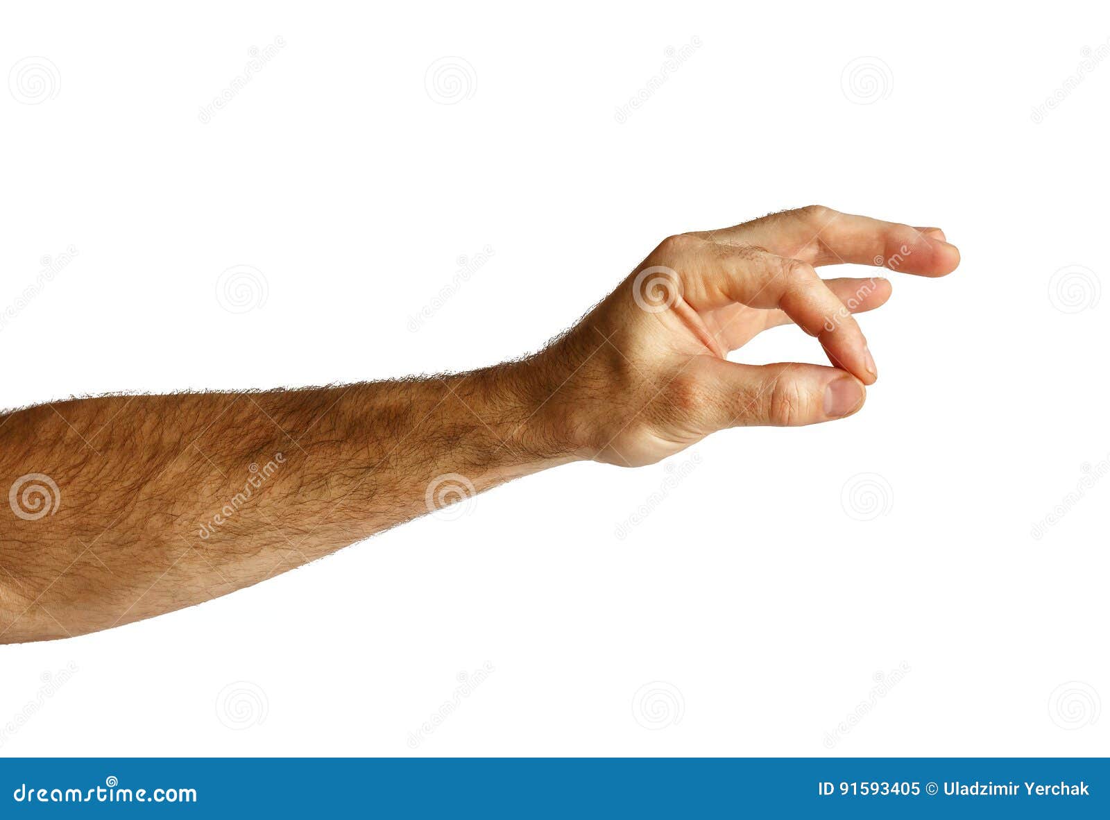 Hand of a man stock image. Image of adult, body, caucasian - 91593405
