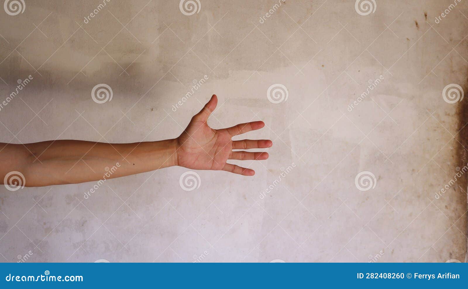 Hand of a man stock photo. Image of hand, isolated, choice - 282408260