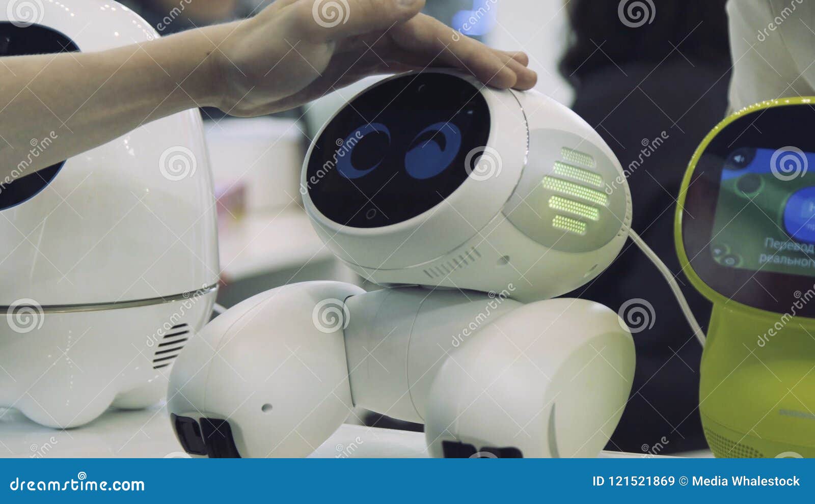 Hand Of Man Touches The Robot. Robot Is Happy With The Touch Of A Human ...