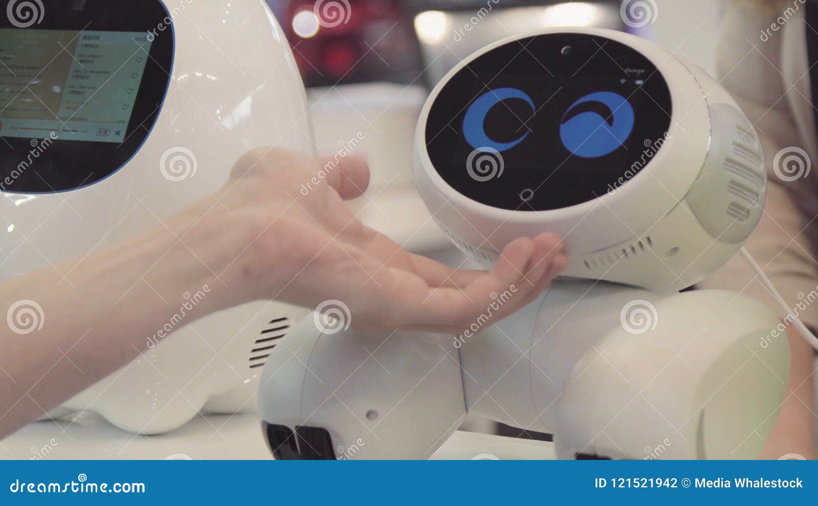 Hand of Man Touches the Robot. Robot is Happy with the Touch of a Human ...