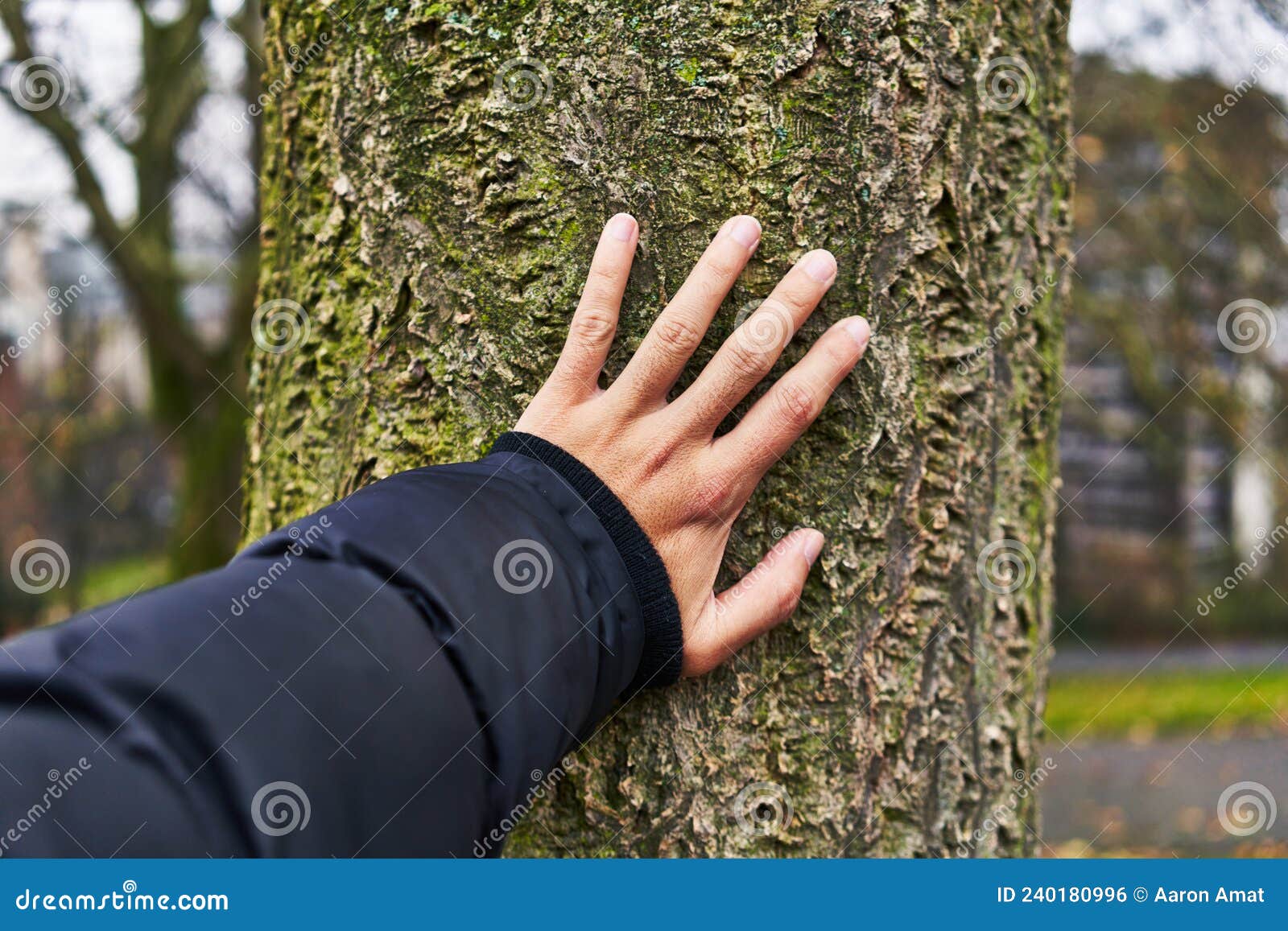 Hand of Man Touching Tree at Park Stock Photo - Image of natural ...