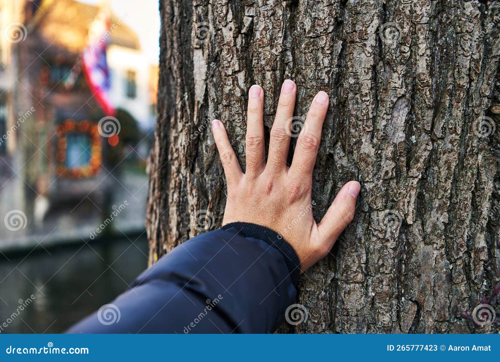 Hand of Man Touching Tree at Park Stock Image - Image of fingers, eath ...