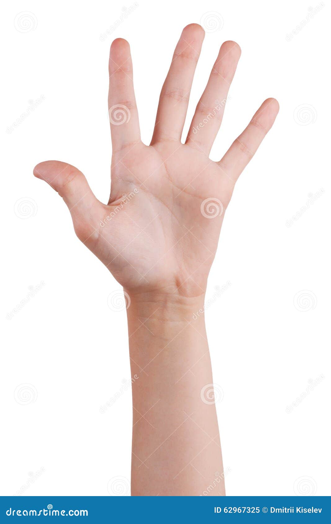 Hand of man stock image. Image of isolated, hand, skin - 62967325