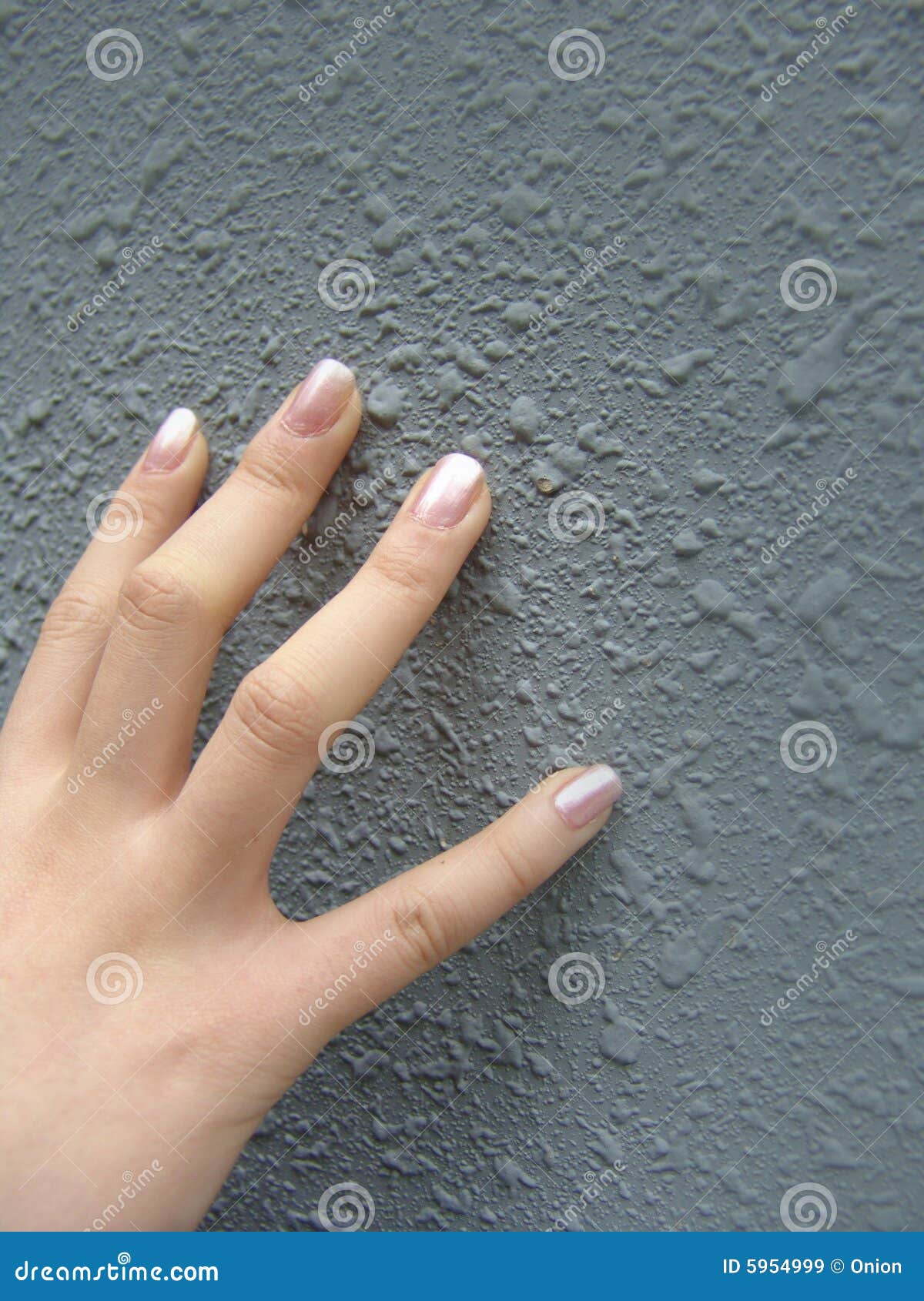 Hand with Manicured Fingers Stock Image - Image of hand, shine: 5954999